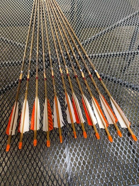 Pfeile Easton Axis Traditional 600 | Kaufen auf Ricardo