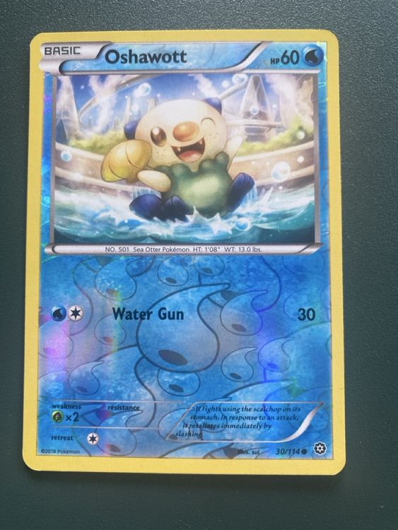 Oshawott 30/114 Pokemon Card - Excellent Condition (Gebraucht) in ...