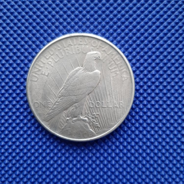 Peace Dollar 1924 (Gebraucht) in Carouge GE für CHF 63 – mit Lieferung ...
