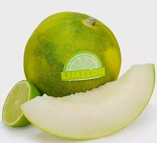 Ab 1.- fr 3 Samen LIMELON Zarte Melone mit Limettengeschmack (Neu und ...