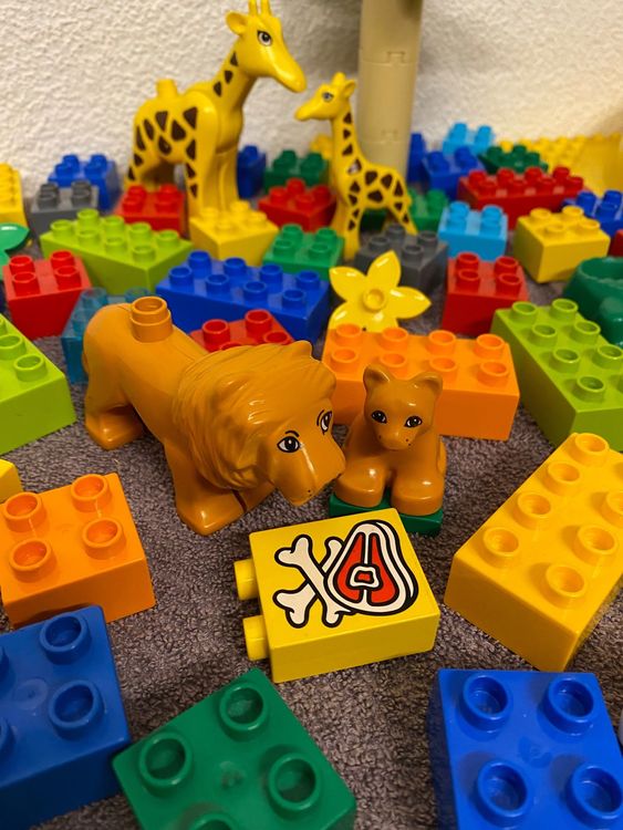 Grosser Lego Duplo Zoo mit 3D Platte & über 100 Teile! | Kaufen auf Ricardo