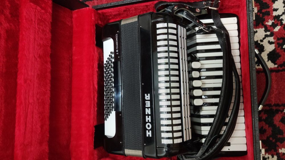 Hohner Akkordeon | Kaufen auf Ricardo