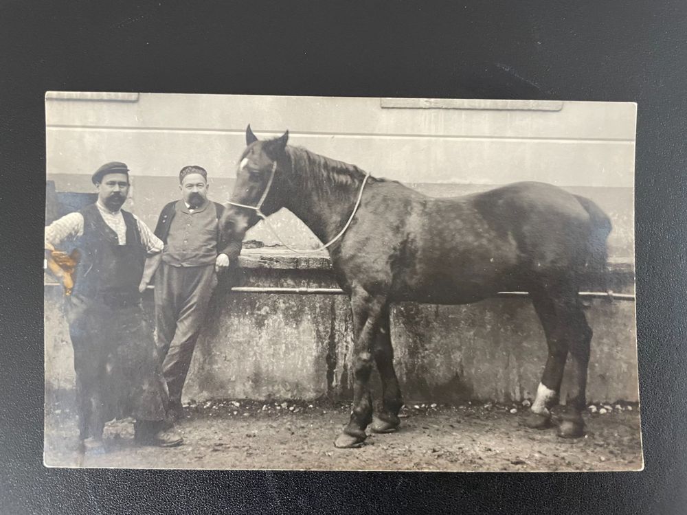 AK Landwirtschaft, Pferd, unbekannte Personen, wo? (Gebraucht) in Thal für CHF 1 – mit Lieferung ...