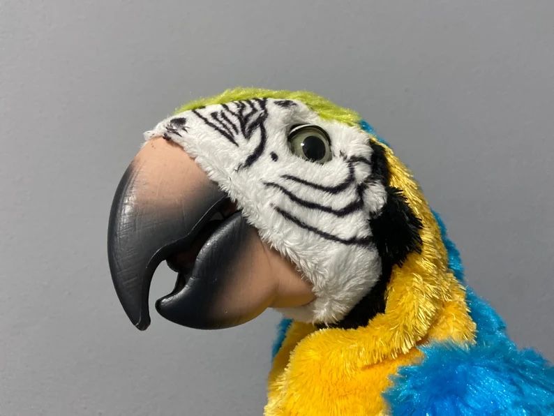 Imagedetailfurreal Papagei Gebraucht Kaufen Nur 4 St Bis 70 Gunstiger 2022 09 01990946
