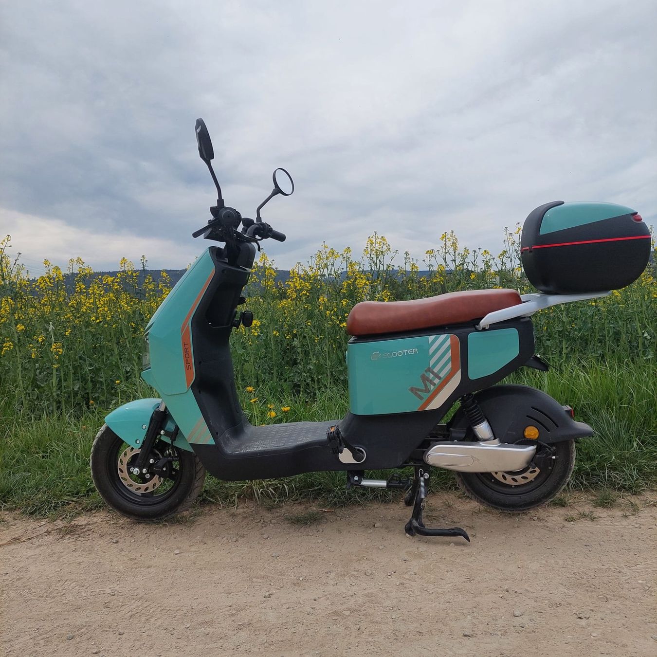 Ecooter M1 Scooter 500 W Vitality Green (Gebraucht) in Baden für CHF ...