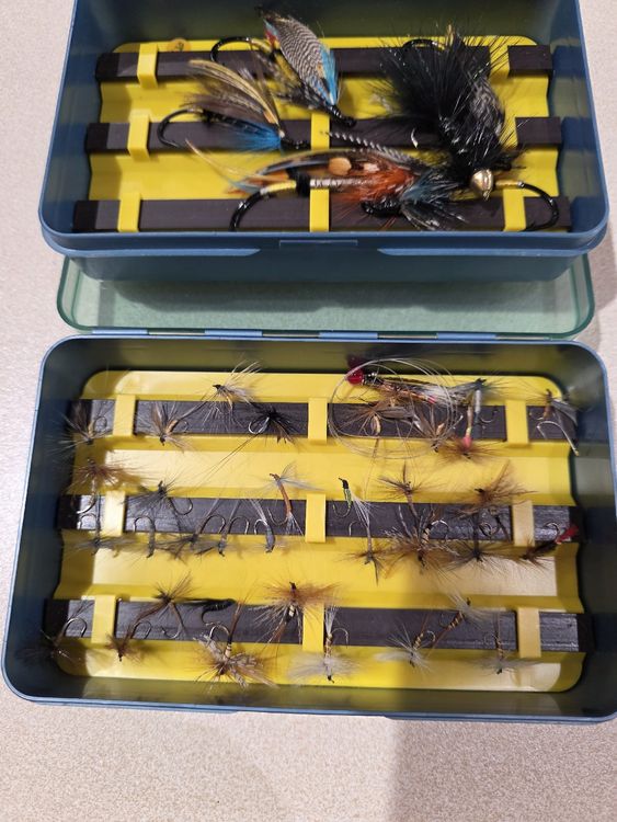 Fliegenfischen: Diverse Fliegen in Box, Top Zustand! (Neu (gemäss ...