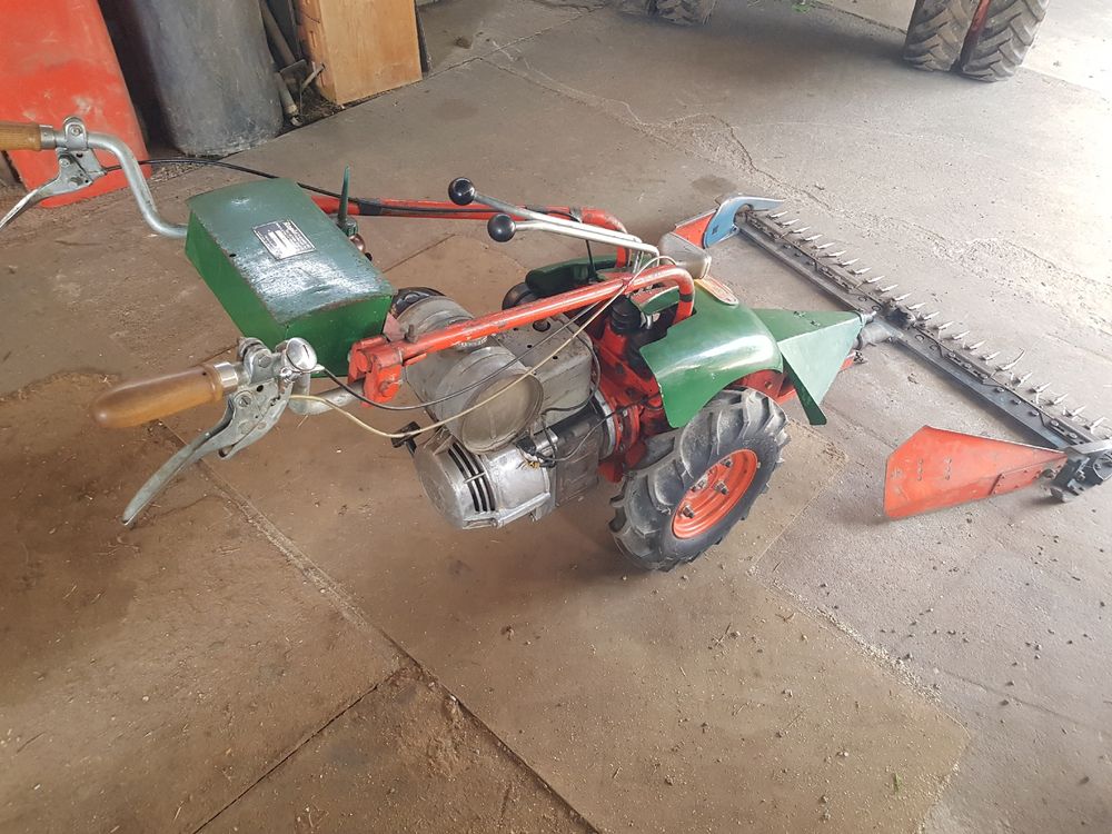 Rapid Rex (Gebraucht) in Dietwil für CHF 750 – nur Abholung auf Ricardo ...