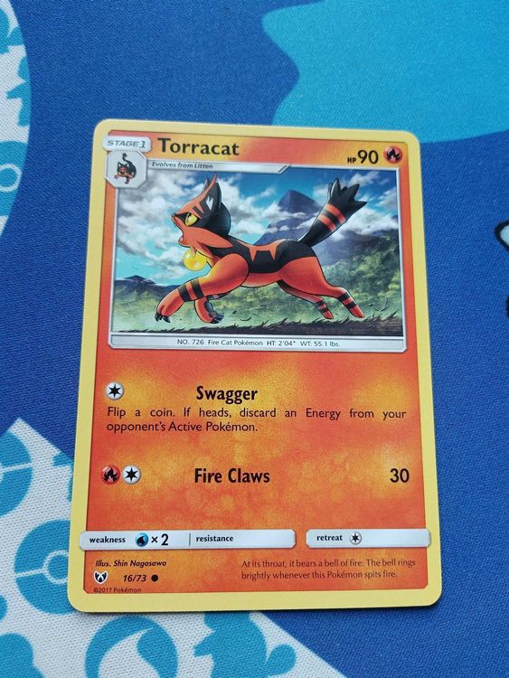 Torracat | Kaufen auf Ricardo