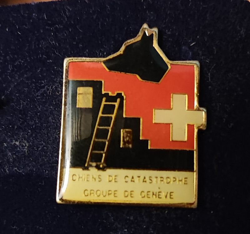 Pin's Chiens de Catastrophe Groupe de Genève (Gebraucht) in Crans VD ...