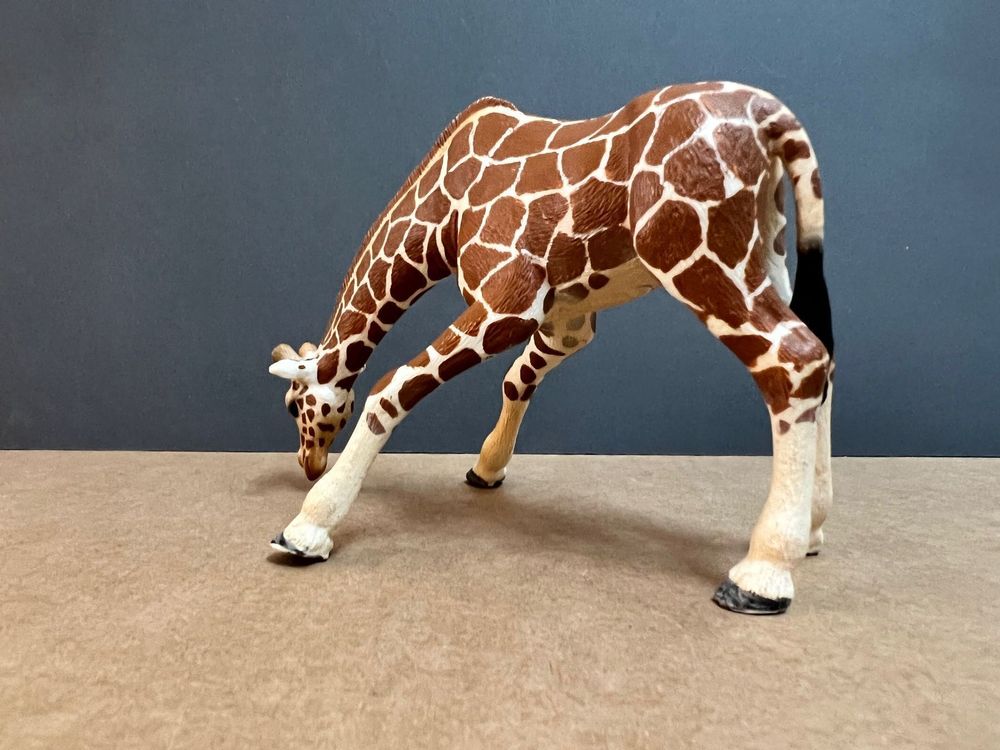Schleich Giraffe Giraffenkuh, saufend | Kaufen auf Ricardo