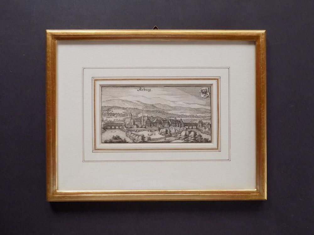 Aarberg Merian Goldrahmen (Gebraucht) in Risch für CHF 225 – mit Lieferung auf Ricardo kaufen