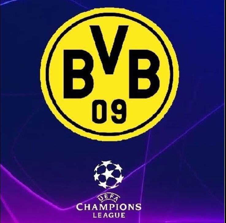BVB - OSC Lille, 2 Championsleague Tickets- Block 62 Reihe 3 (Neu und ...