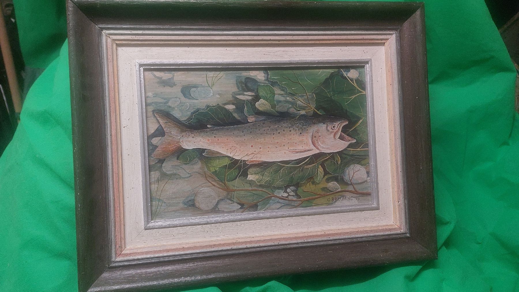 Gemälde C. Breuning 77, Fisch, Original, gerahmt.🖼️🎣 (52) (Gebraucht ...