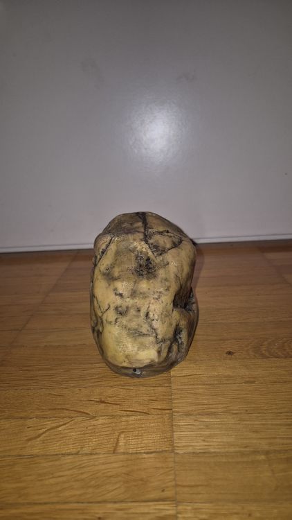 Exo Terra Reptilienhöhle – sehr klein (XS) (Gebraucht) in Zürich für ...