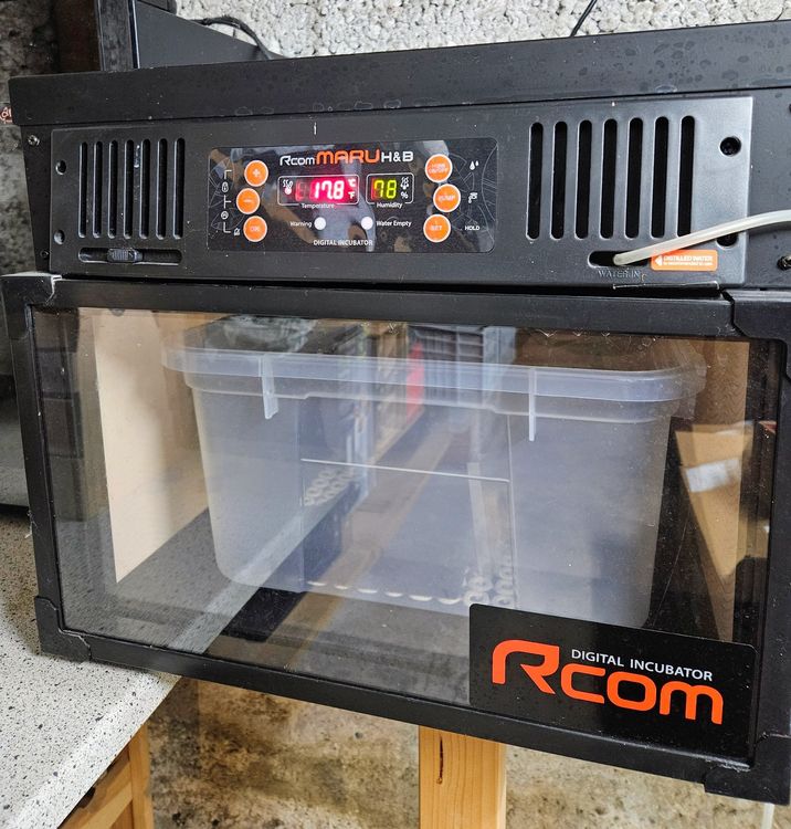 Brutmaschine Rcom Maru 100 (Gebraucht) in Wetzikon ZH für CHF 130 – nur ...