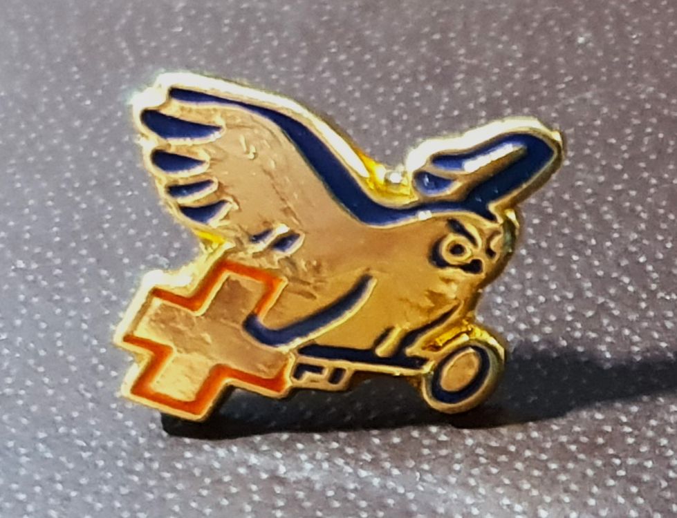R798 - Pin Eule mit Schlüssel Schweiz (Gebraucht) in Reinach BL für CHF ...