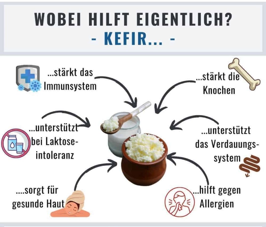 BIO-Kefir 😋 Kefirknollen für Milchkefir selbst herstellen (Neu (gemäss ...