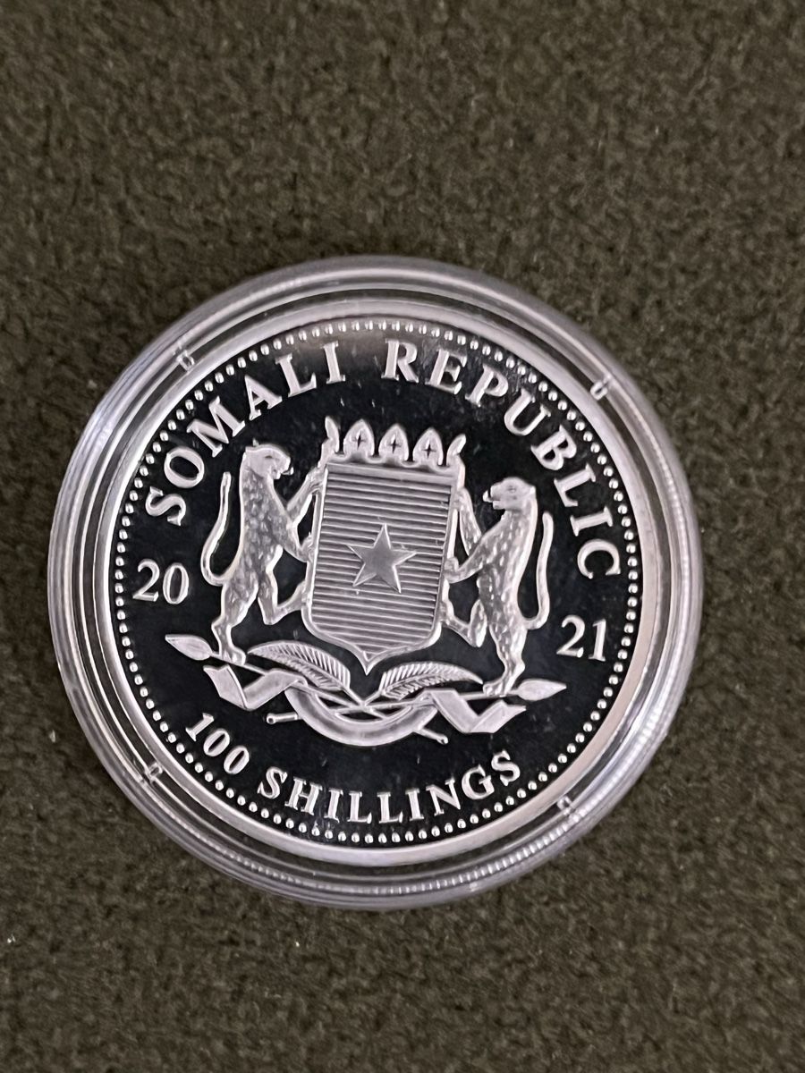 1 Unze Silbermünze Somalia African Wildlife Leopard 2021 (Neu und ...