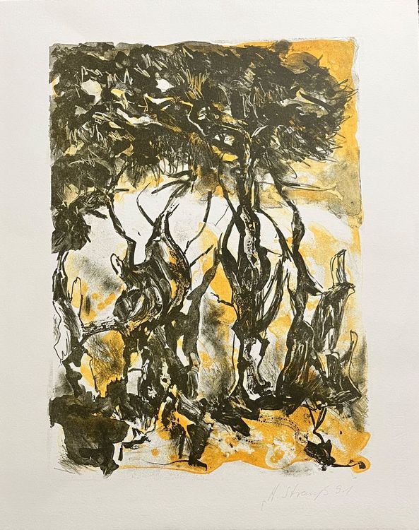 KÜNSTLER ? UNLESERLICH SIGNIERT LITHOGRAPHIE | Kaufen auf Ricardo