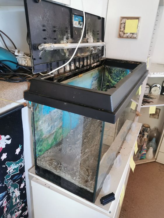 Akvarium Juwel Primolux 80 80x40x35cm (Gebraucht) in Toffen für CHF 1 ...