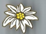 Schöner Edelweiss Pin | Kaufen auf Ricardo