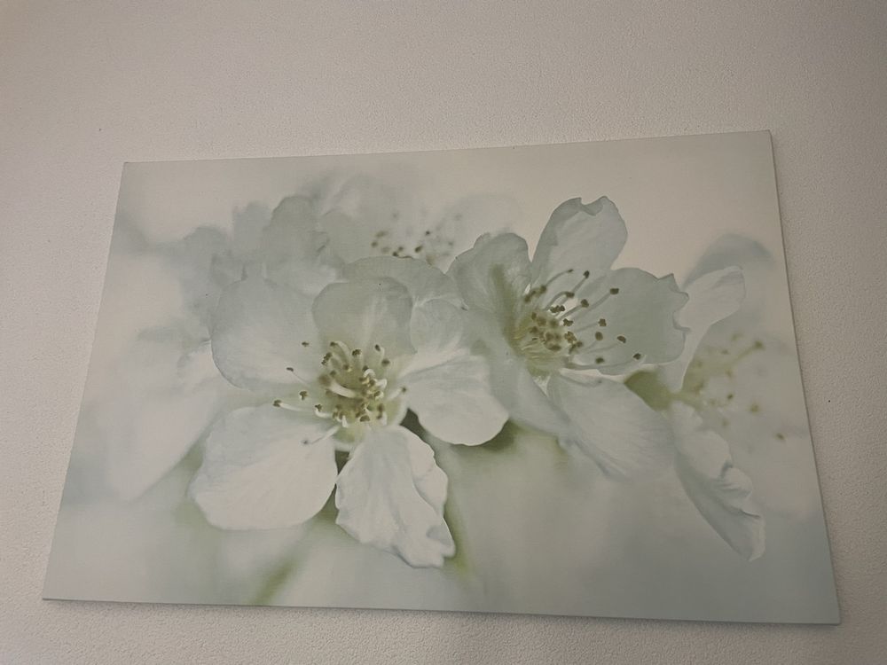 Ikea Leinwand-Bild hellgrün Blüte xxl | Kaufen auf Ricardo