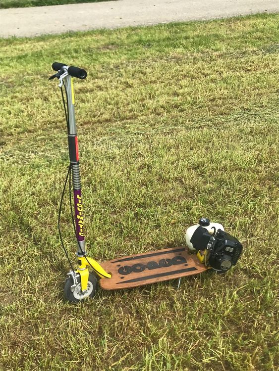Goped Motorscooter (Gebraucht) in Dotnacht für CHF 298 – mit Lieferung ...