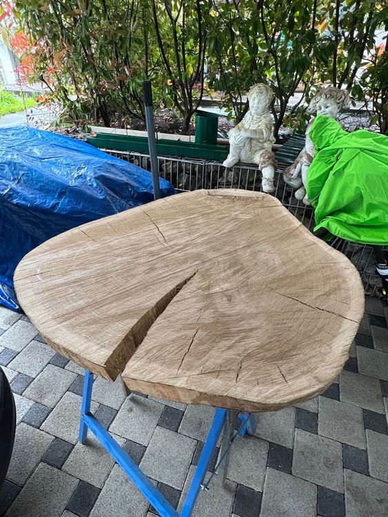 Baumscheibe Eiche | Kaufen auf Ricardo