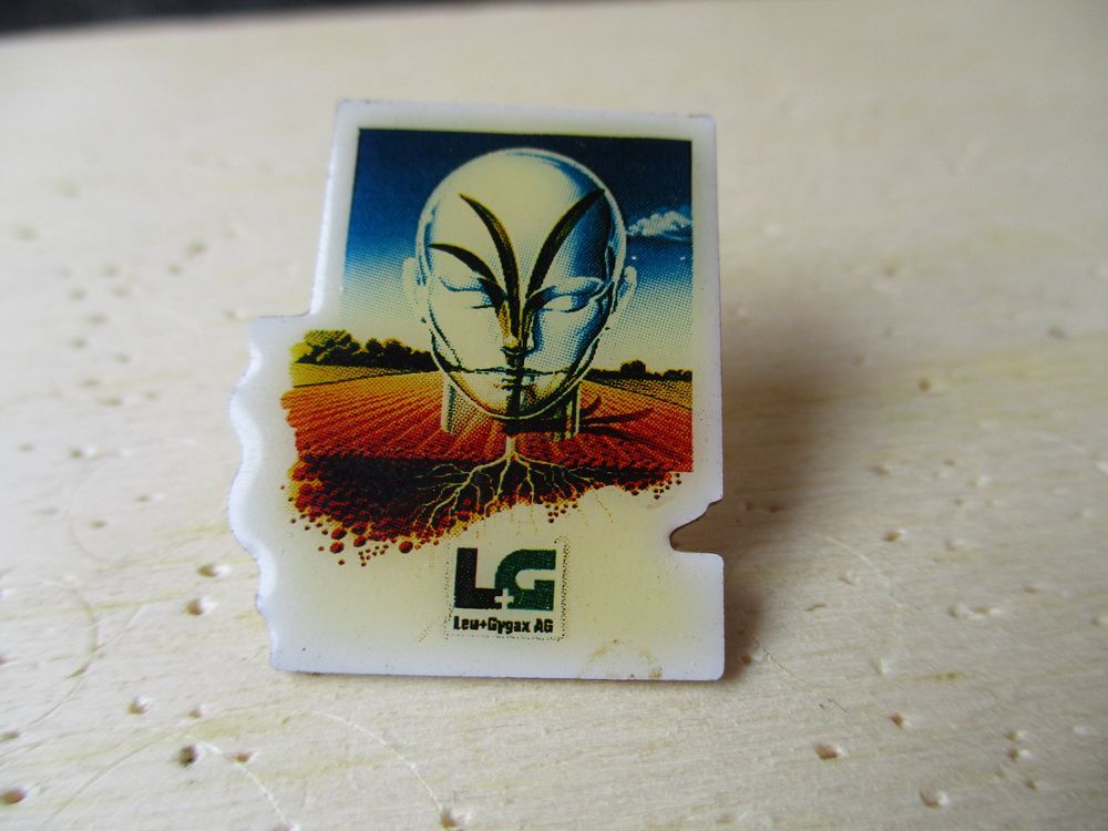 Lg Pin Kaufen Auf Ricardo