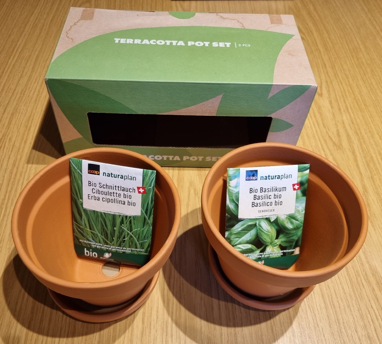 Terracotta Topf Set 2-teilig mit Bio-Kräutersamen 🌱 (Neu und ...