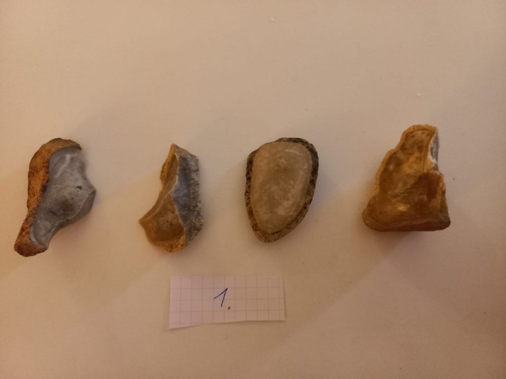 Feuerstein Silex 1 | Kaufen auf Ricardo