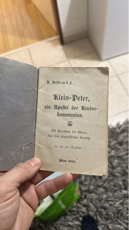 Antico libro per bambini "Klein-Peter" 1918 (Gebraucht) in Bellinzona ...