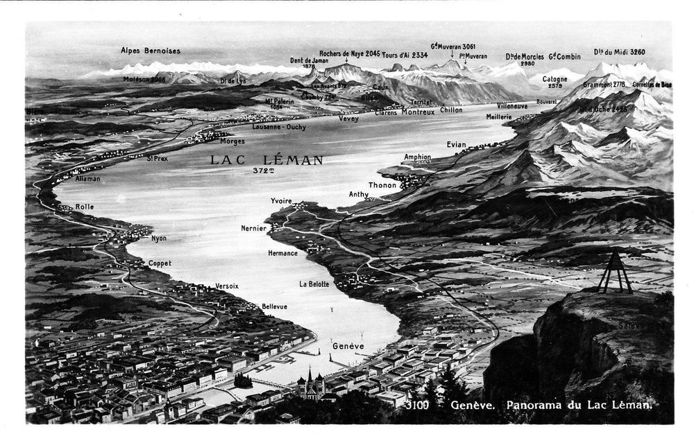Panorama du Lac Léman | Acheter sur Ricardo