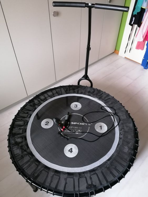 Trampolin Mini Gebraucht In Unterseen Für Chf 20 Nur Abholung Auf