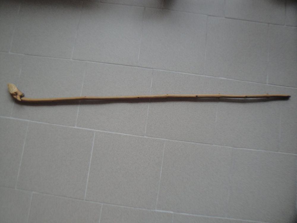 Esoterik, lebendiges Holz, Wanderstock 130cm, Thurgau (Gebraucht) in Oberhofen TG für CHF 25.9 ...
