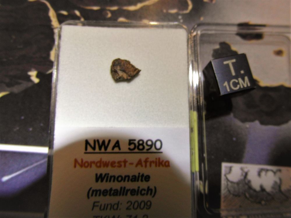 Rarer 0.20g Meteorit Meteorite Winonaite NWA 5890 (Neu (gemäss ...