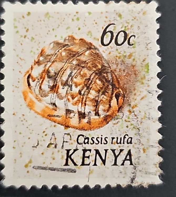 Kenia Briefmarke Cassis rufa 60c (Gebraucht) in Wila für CHF 0.45 – mit ...