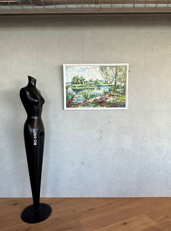 Hans-Rudolf Meyer - Swiss Art Selection | Kaufen auf Ricardo