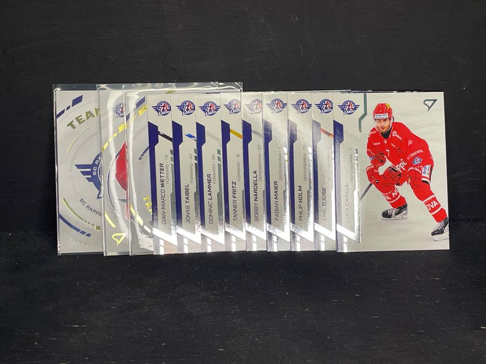 Komplettes SC Rapperswil-Jona Base-set Serie 2 2024/25 (Neu (gemäss ...