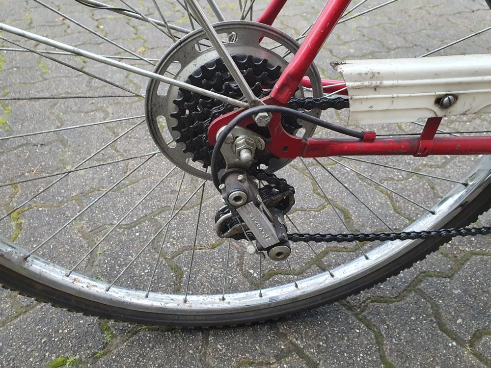 LAURA Special Vintage Damenvelo (Gebraucht) in Ettingen für CHF 60 ...