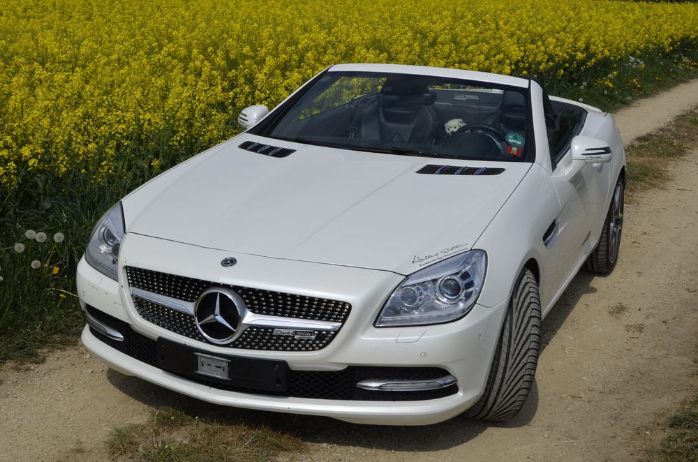 MERCEDES SLK 250 R172 WEINSBERG (Black&White) Diamant ab MFK (Gebraucht ...