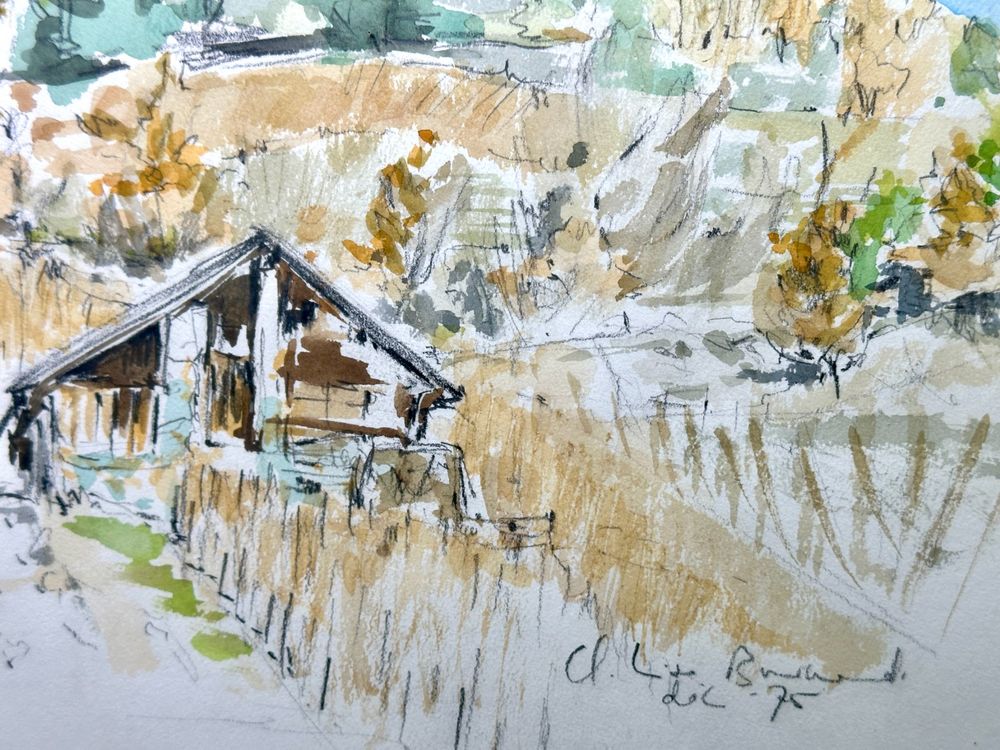 ELISE BURNAND 1975 Aquarelle sur carton paysage Lavaux (Gebraucht) in Morges für CHF 20 – mit ...