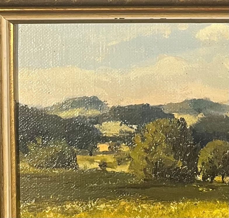Rudolf Müller (1892-1972) Landschafts Gemälde (Gebraucht) in Hochdorf für CHF 40 – mit Lieferung ...