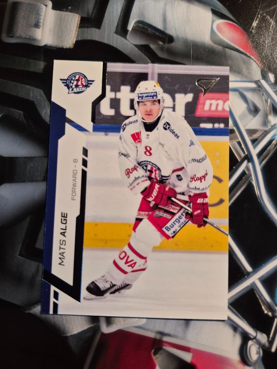 Mats Alge Rapperswil Jona Lakers 2024/25 Sportzoo (Gebraucht) in ...