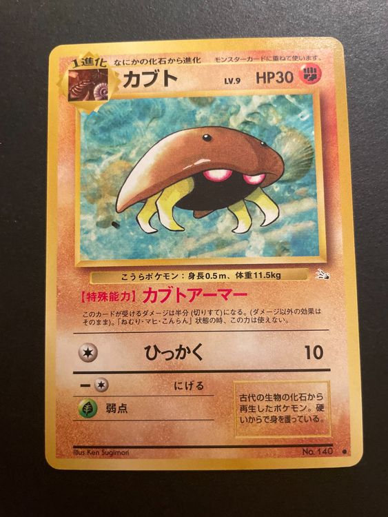 Kabuto No. 140 Fossil | Kaufen auf Ricardo