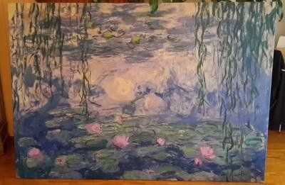 Tableau IKEA - Nenuphares de Claude Monet | Kaufen auf Ricardo