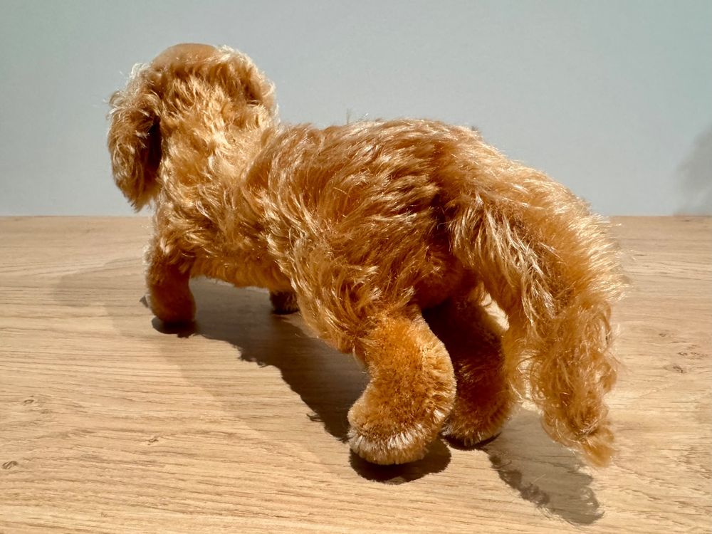 Niedlicher Steiff Dackel Waldi 4140/17 sucht neues Zuhause! (Gebraucht ...