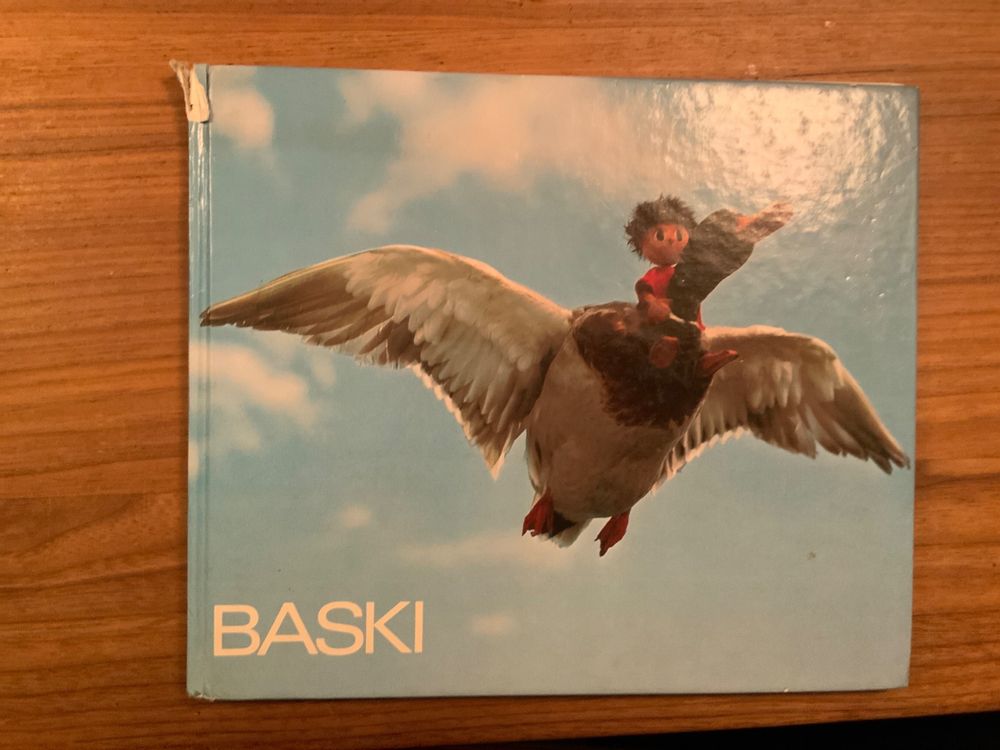 BASKI: Baskis Flug mit der Wildente (2) (Gebraucht) in Winterthur für ...