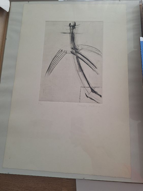 Bild Kunst Künstler Schang Hutter, nummeriert visiert (Neu (gemäss ...