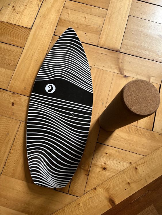 Wave Balance Board (Gebraucht) in für CHF 80 – nur Abholung auf Ricardo ...
